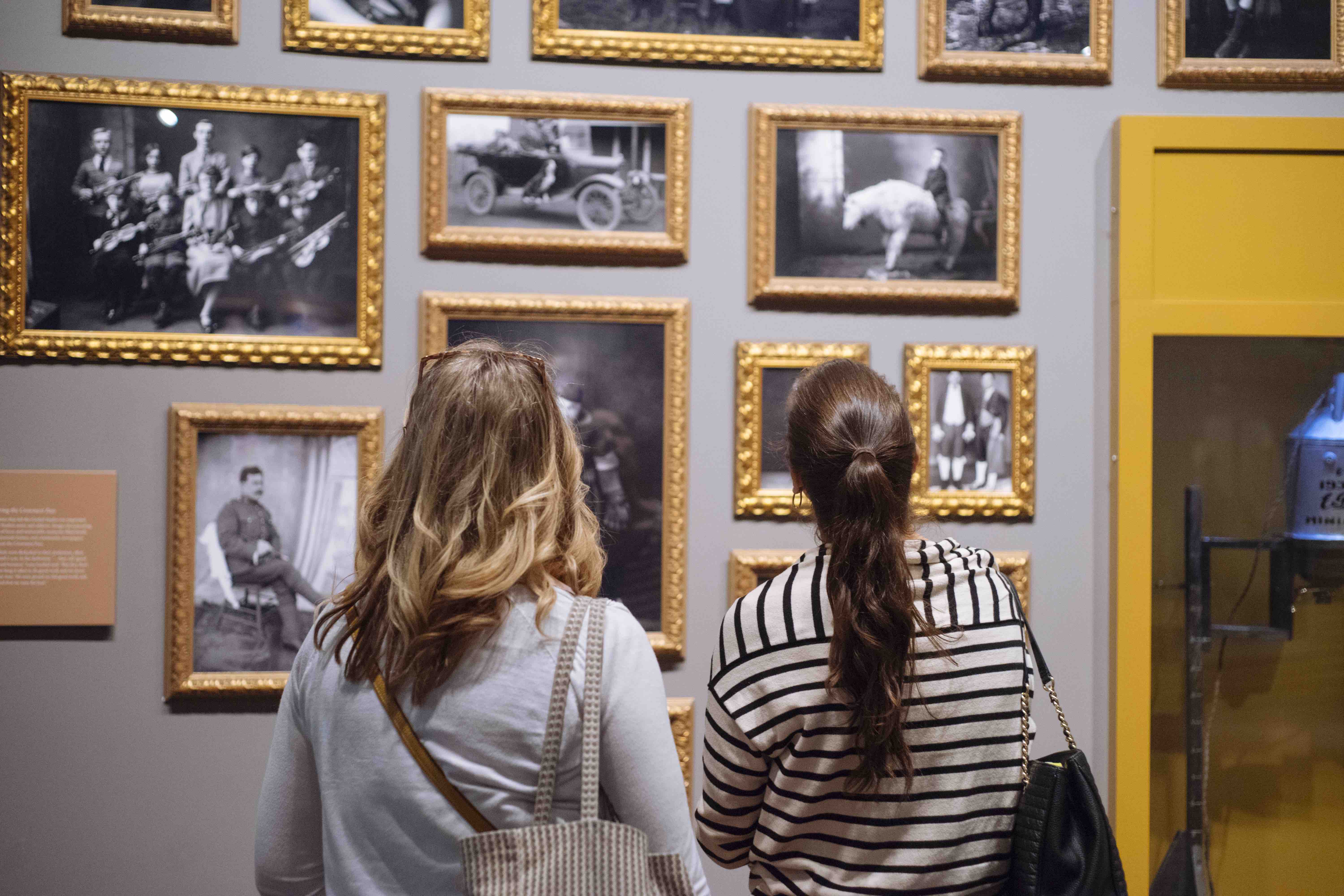 The Inauthentic Arts Lover’s Guide to the Fall Arts Scene in Calgary - Vern