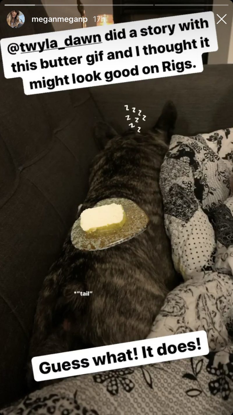 The Instagram Story Challenge That's Buttered Up Calgary